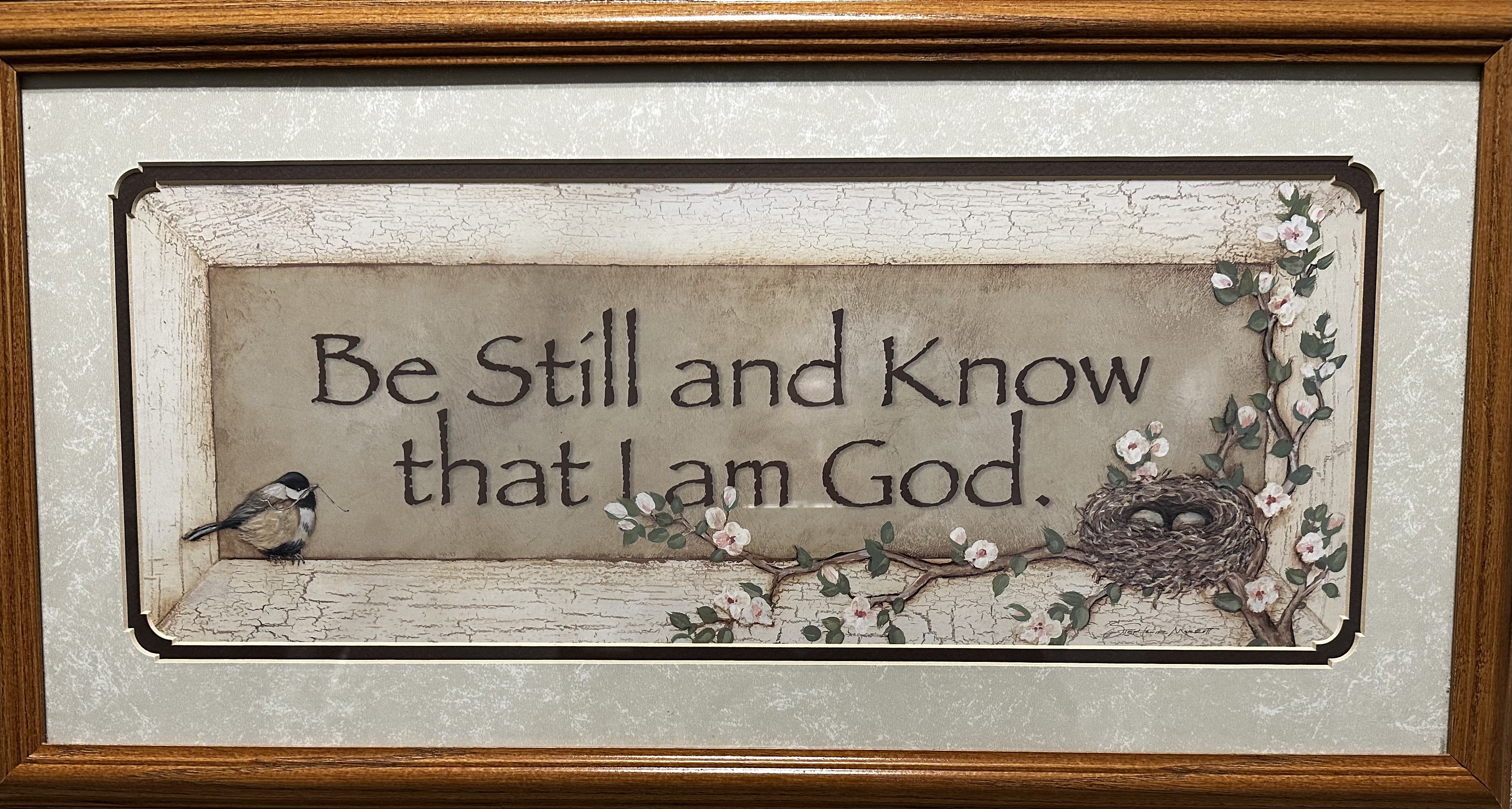 Be Still IN the Jordan – He Said What?!